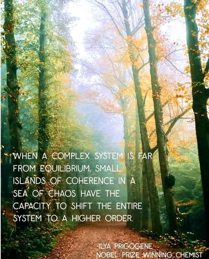 The Invisible Signals of Toxins: How Aflatoxins Disrupt Life’s ...